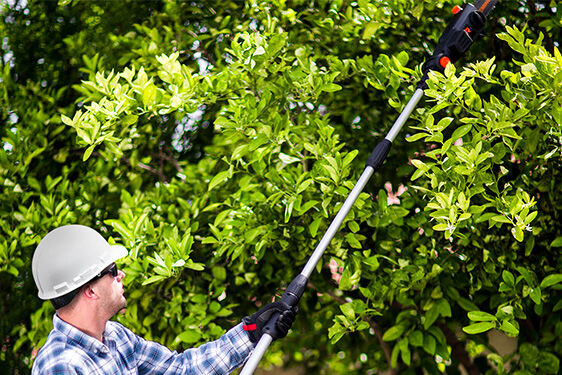 A Guide to Cordless Outdoor Power Tools