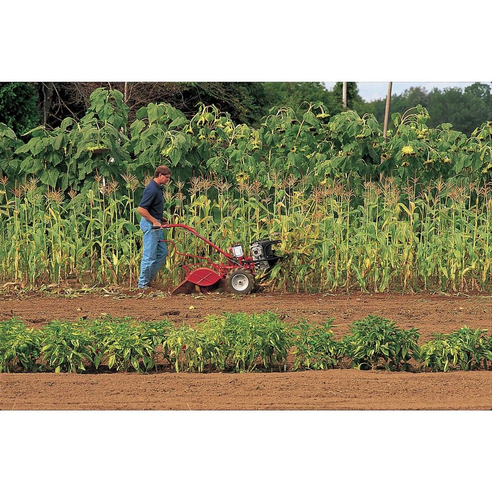 Troy-Bilt Big Red 306cc 20 in. Rear Tine Tiller