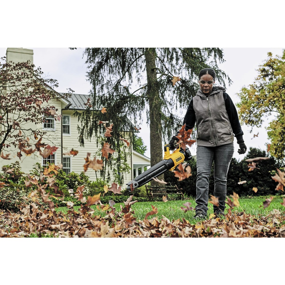 Dewalt 20V MAX XR Lithium-Ion Brushless Handheld Cordless Blower (Tool ...