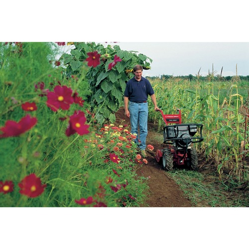Troy-Bilt Big Red 306cc 20 in. Rear Tine Tiller
