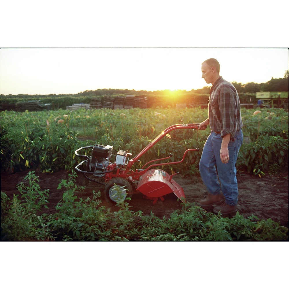 Troy-Bilt Big Red 306cc 20 in. Rear Tine Tiller